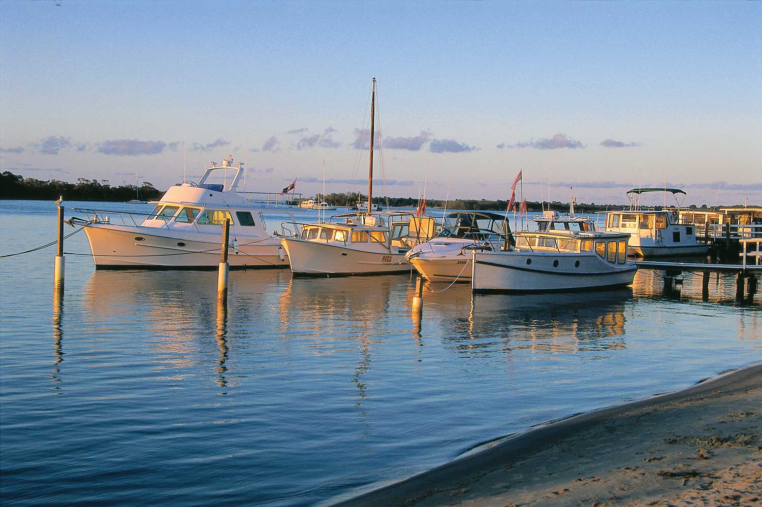 DISCOVER NOOSA AND ITS SURROUNDS - Holiday Noosa