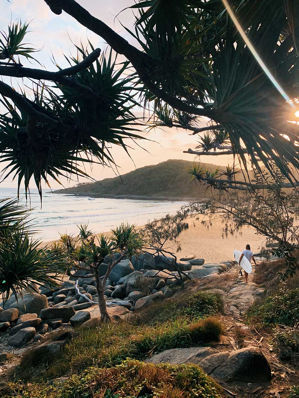 SPRING TIME IN NOOSA - Holiday Noosa